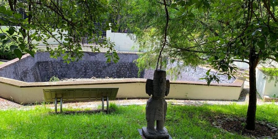 Ciudad de México, la Tierra Prometida - La Carrera Panamericana